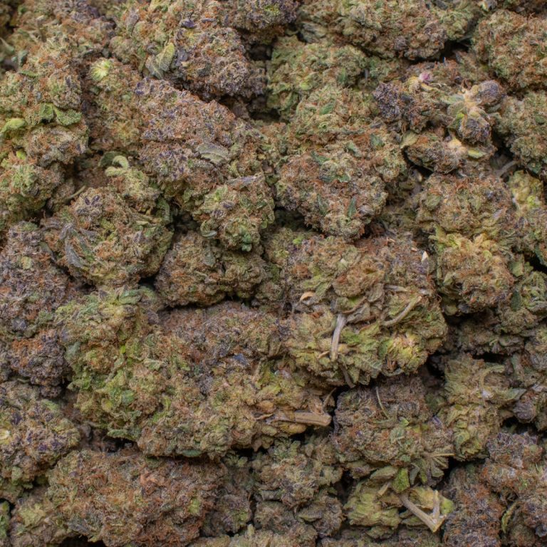 Cherry Gushers - Cali Canna