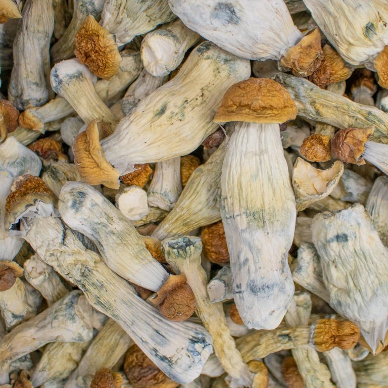 Shroom Dosage Guide - Cali Canna