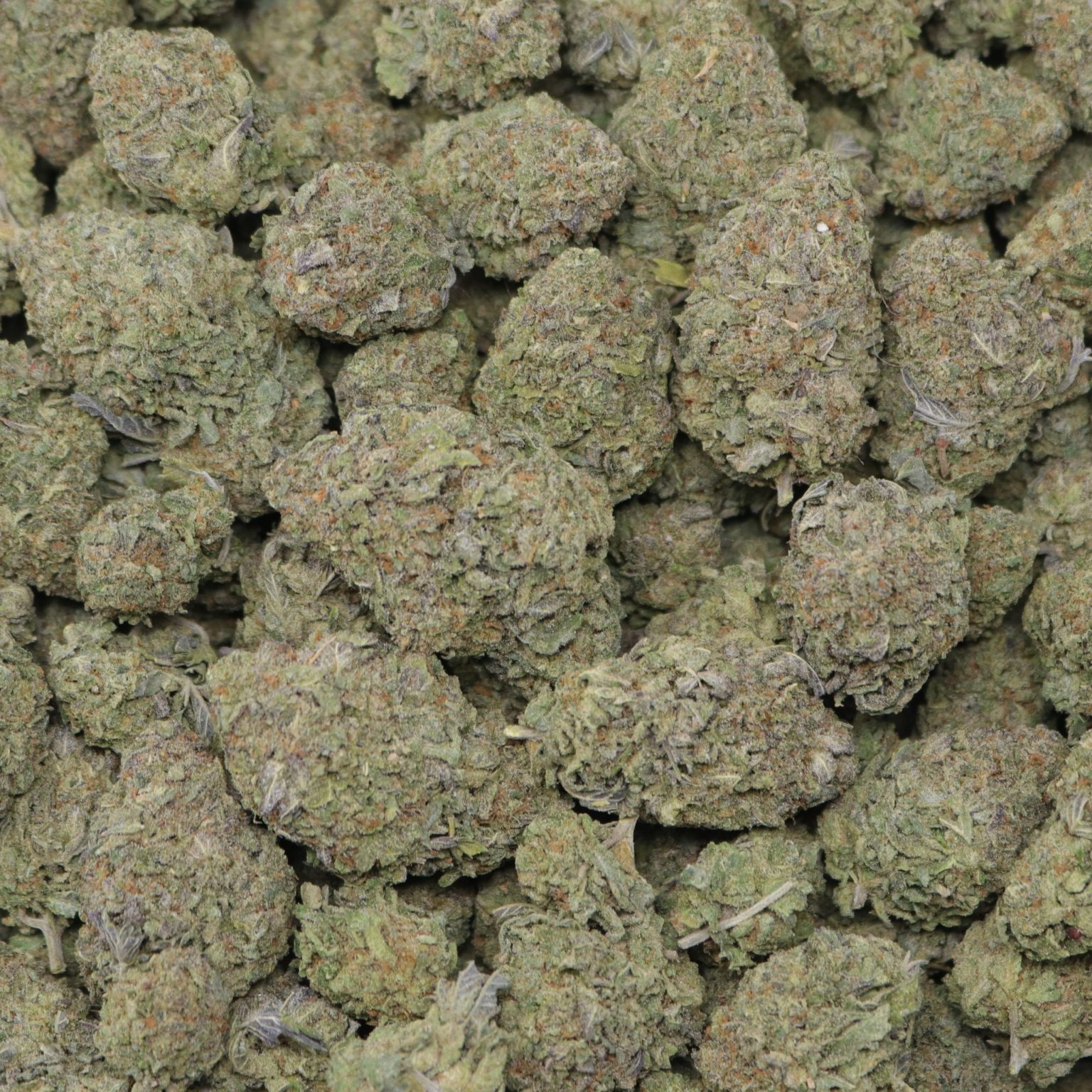 Wedding Cake - Cali Canna