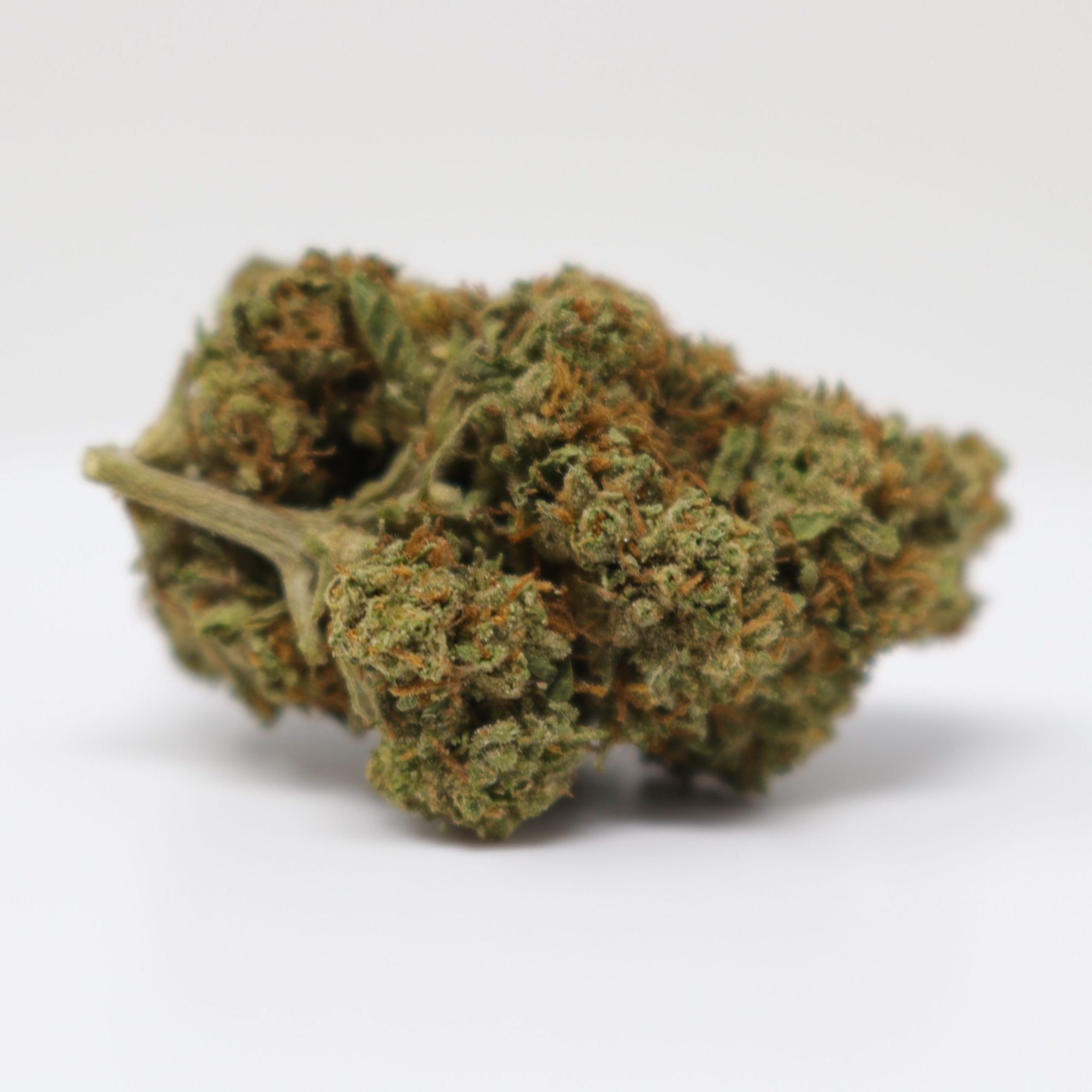 Indica - Cali Canna