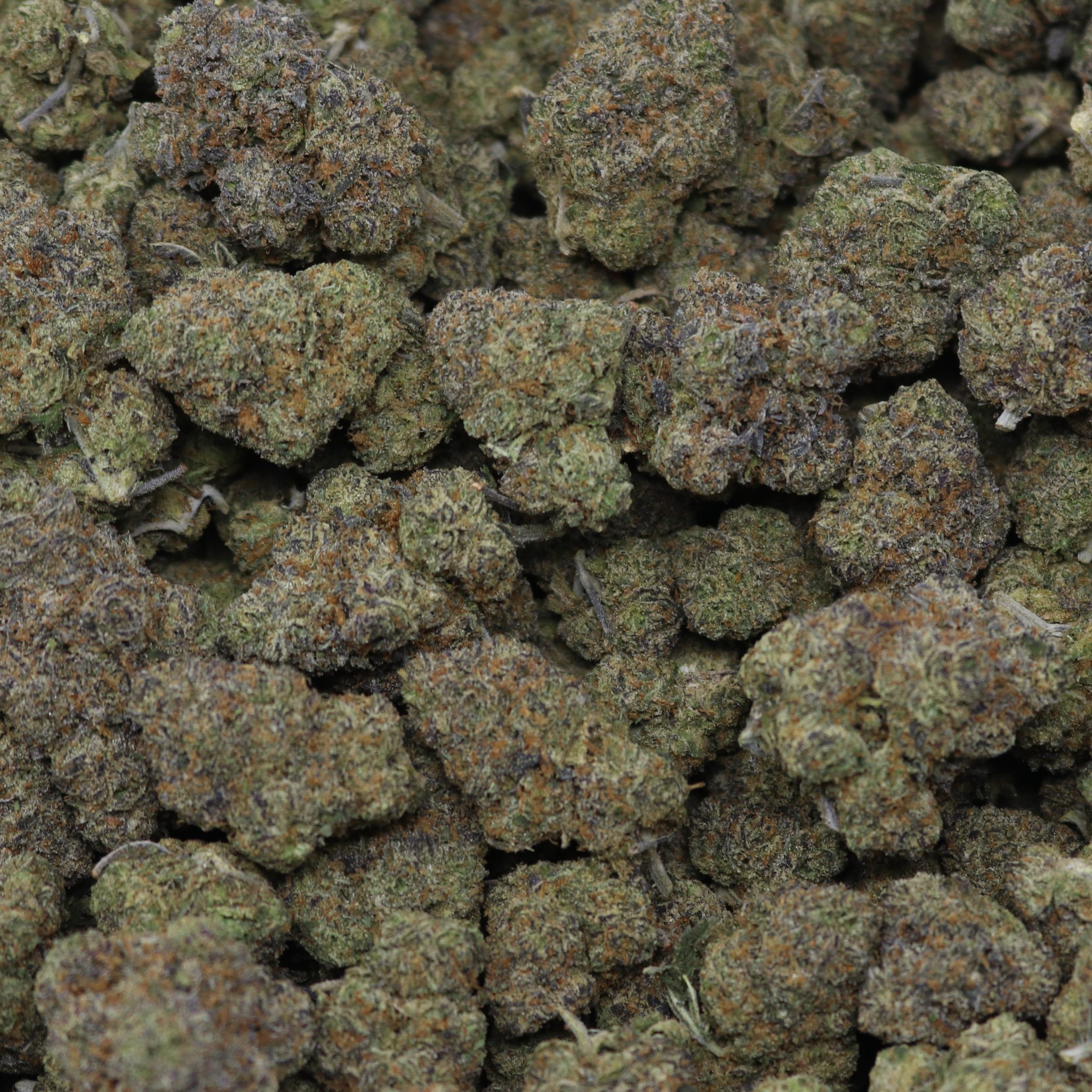 Bolo Runtz - Cali Canna