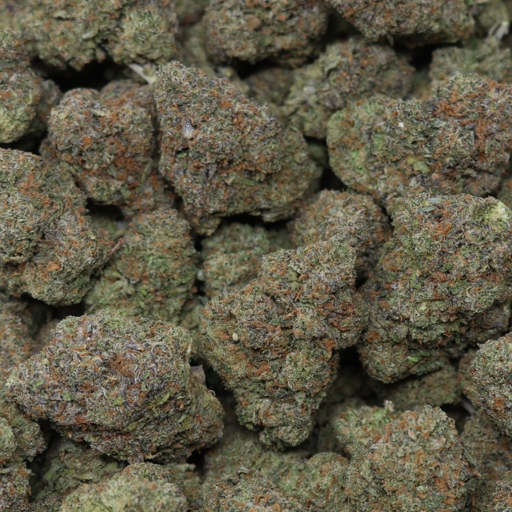 Gas Runtz - Cali Canna