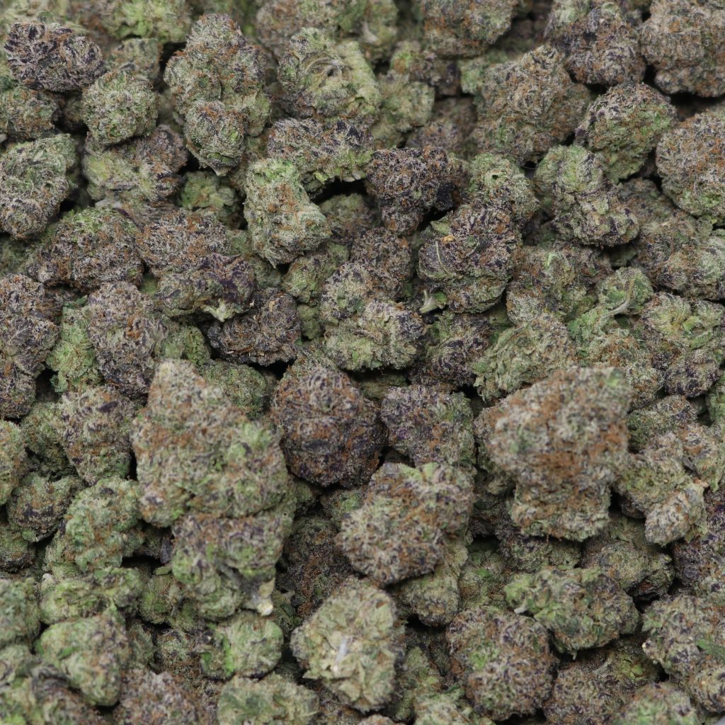 Lemon Cherry Gushers - Cali Canna