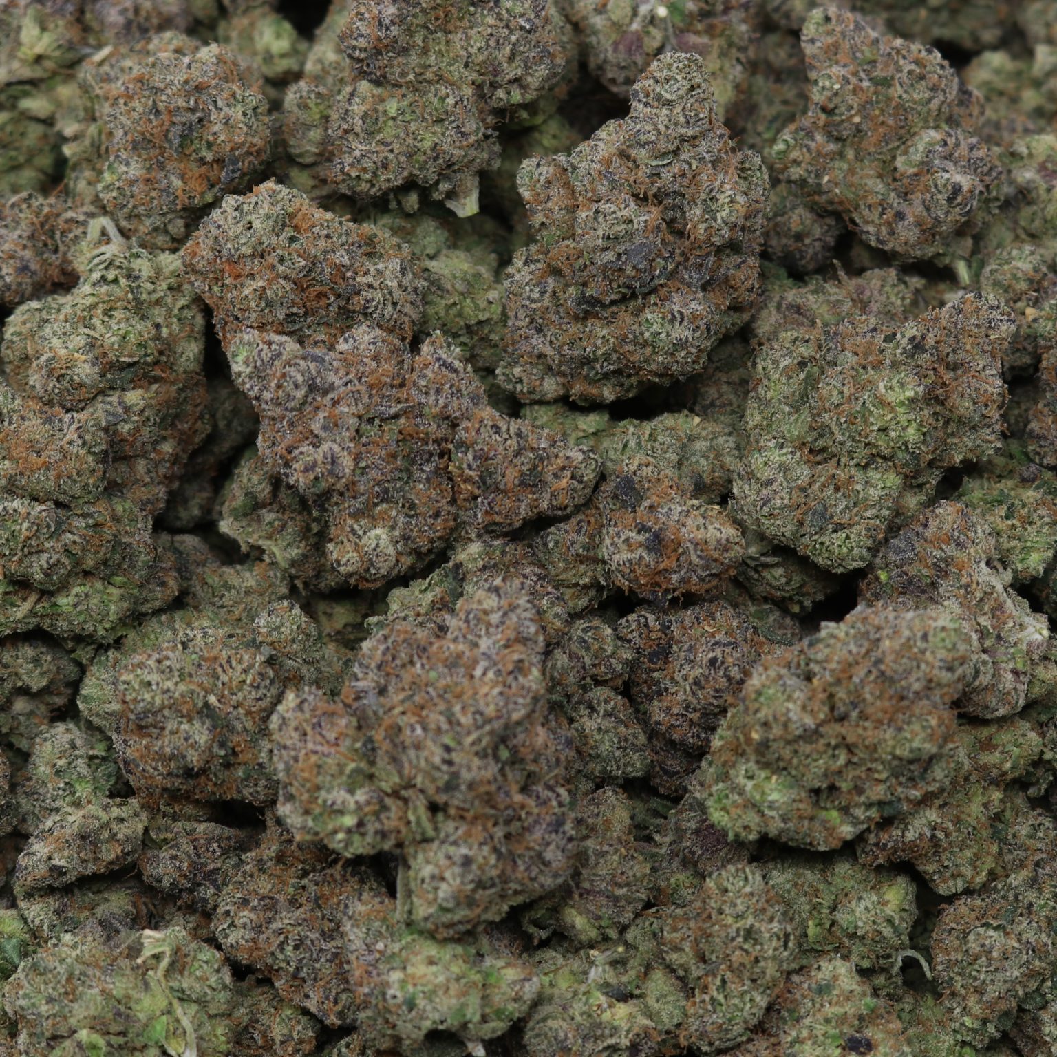 Pink Candy X Runtz - Cali Canna