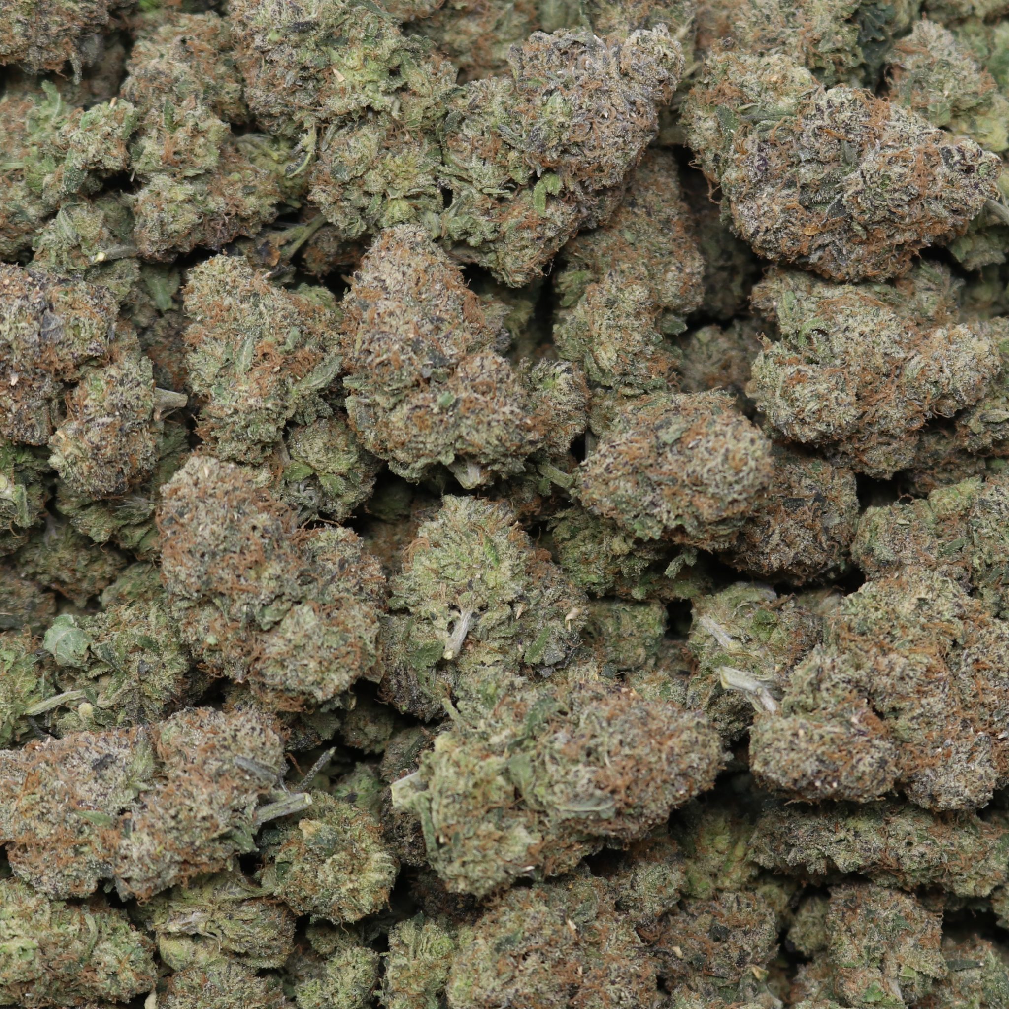 Pink Gummy - Cali Canna