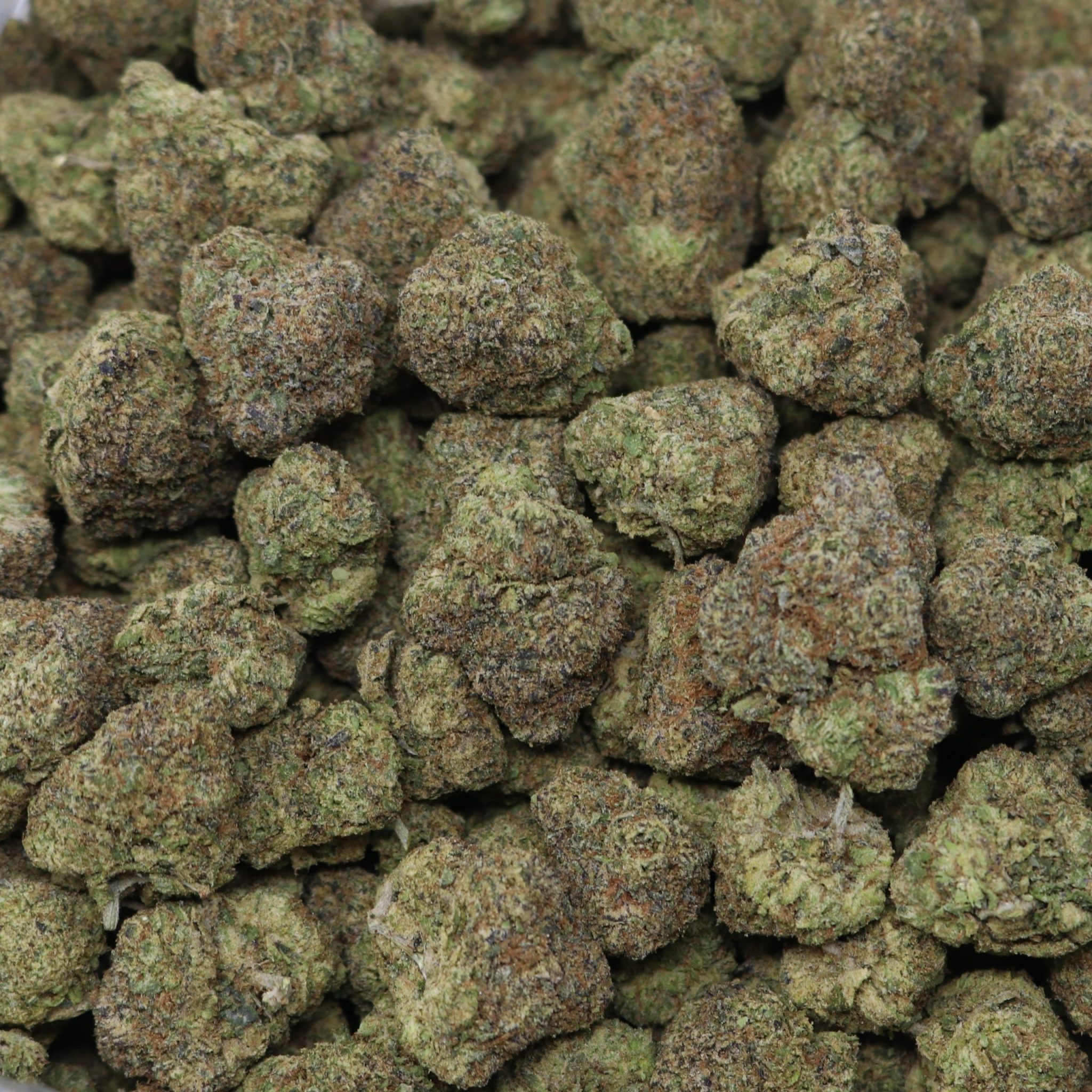 Indica - Cali Canna