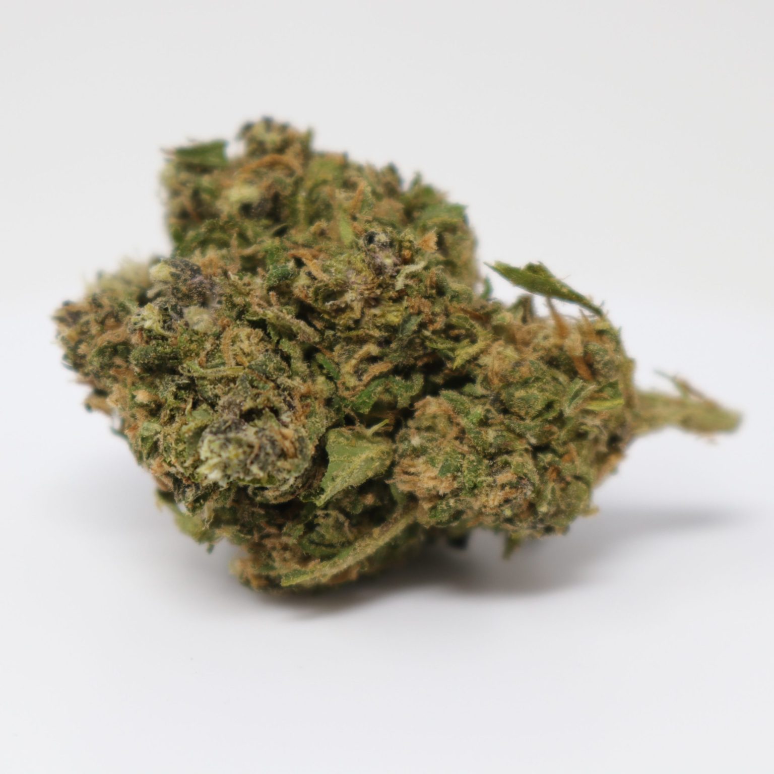 Indica - Cali Canna