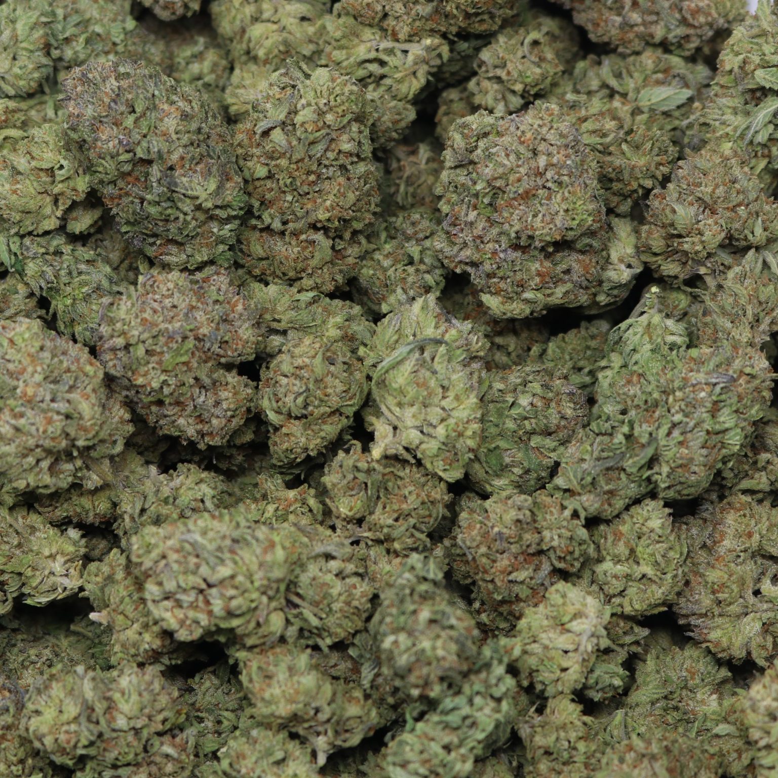 Indica - Cali Canna