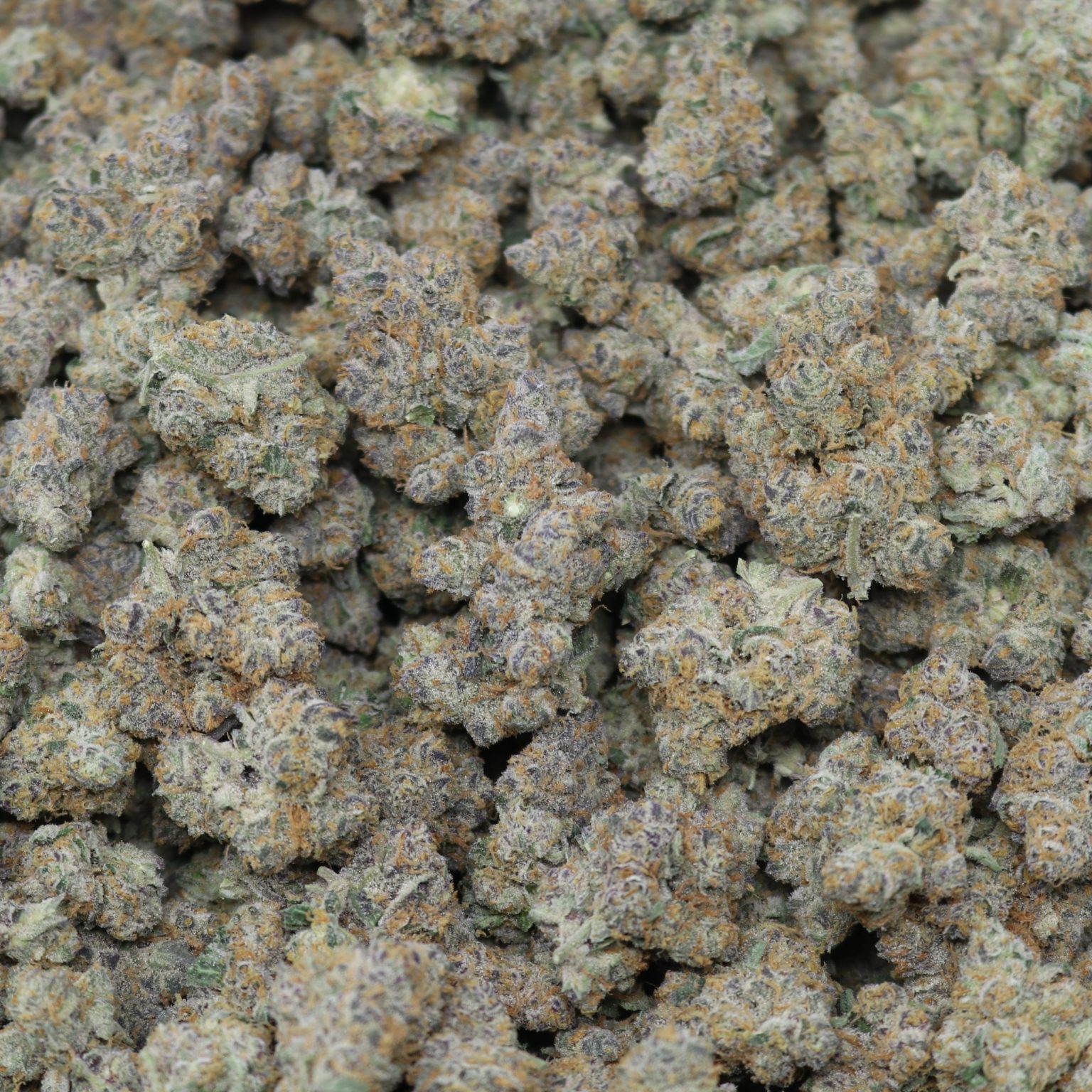 Snowman - Cali Canna