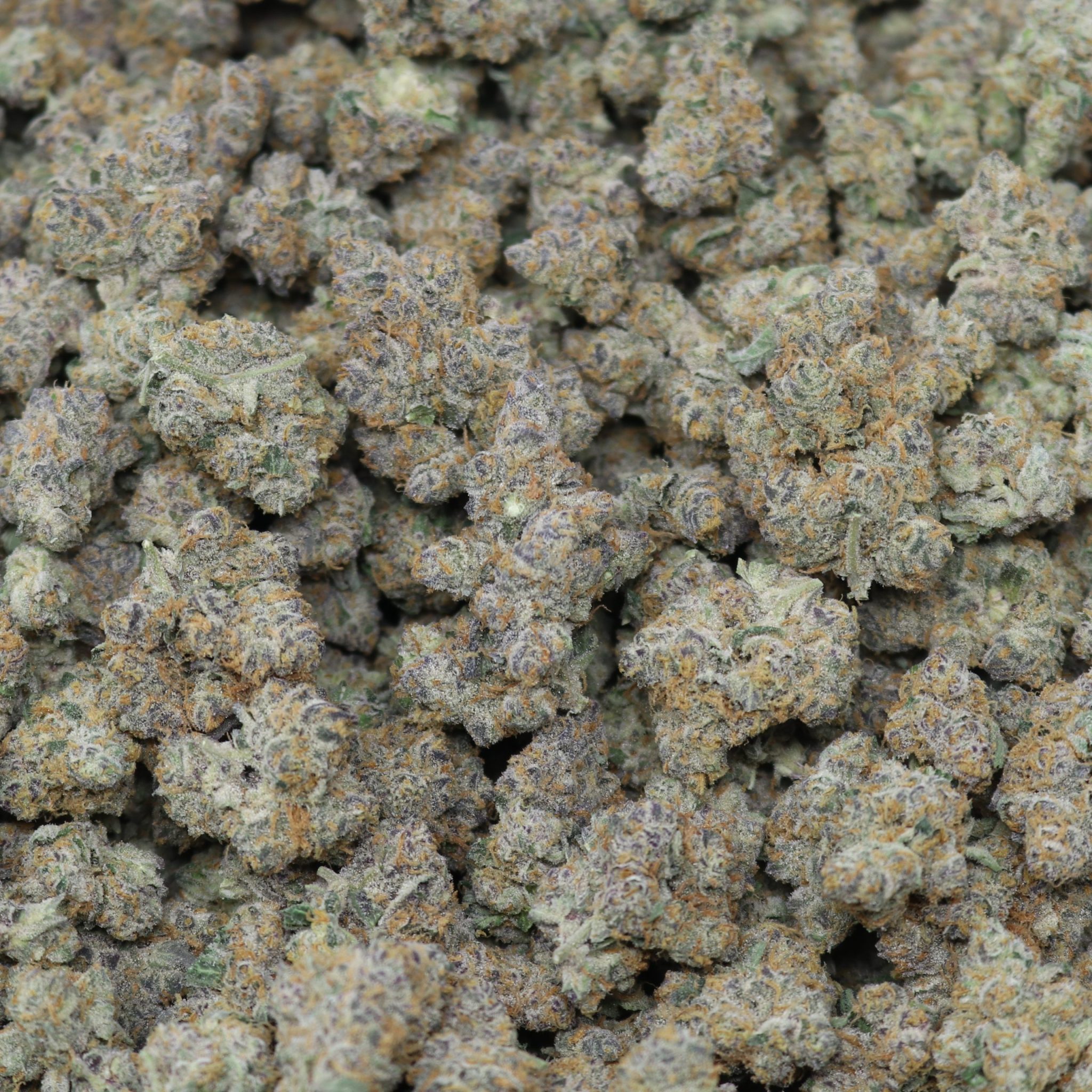 Snowman - Cali Canna