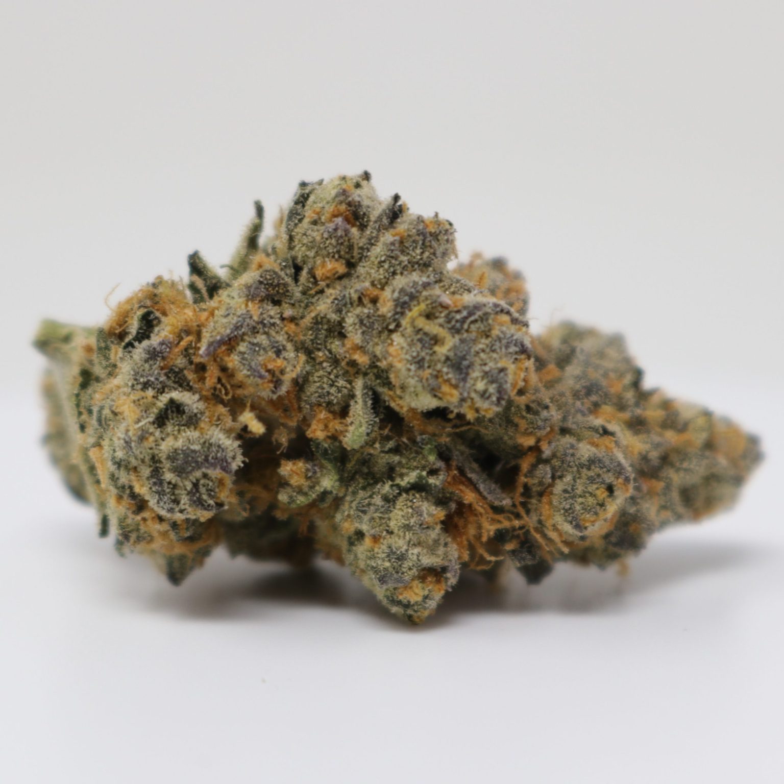 Snowman - Cali Canna