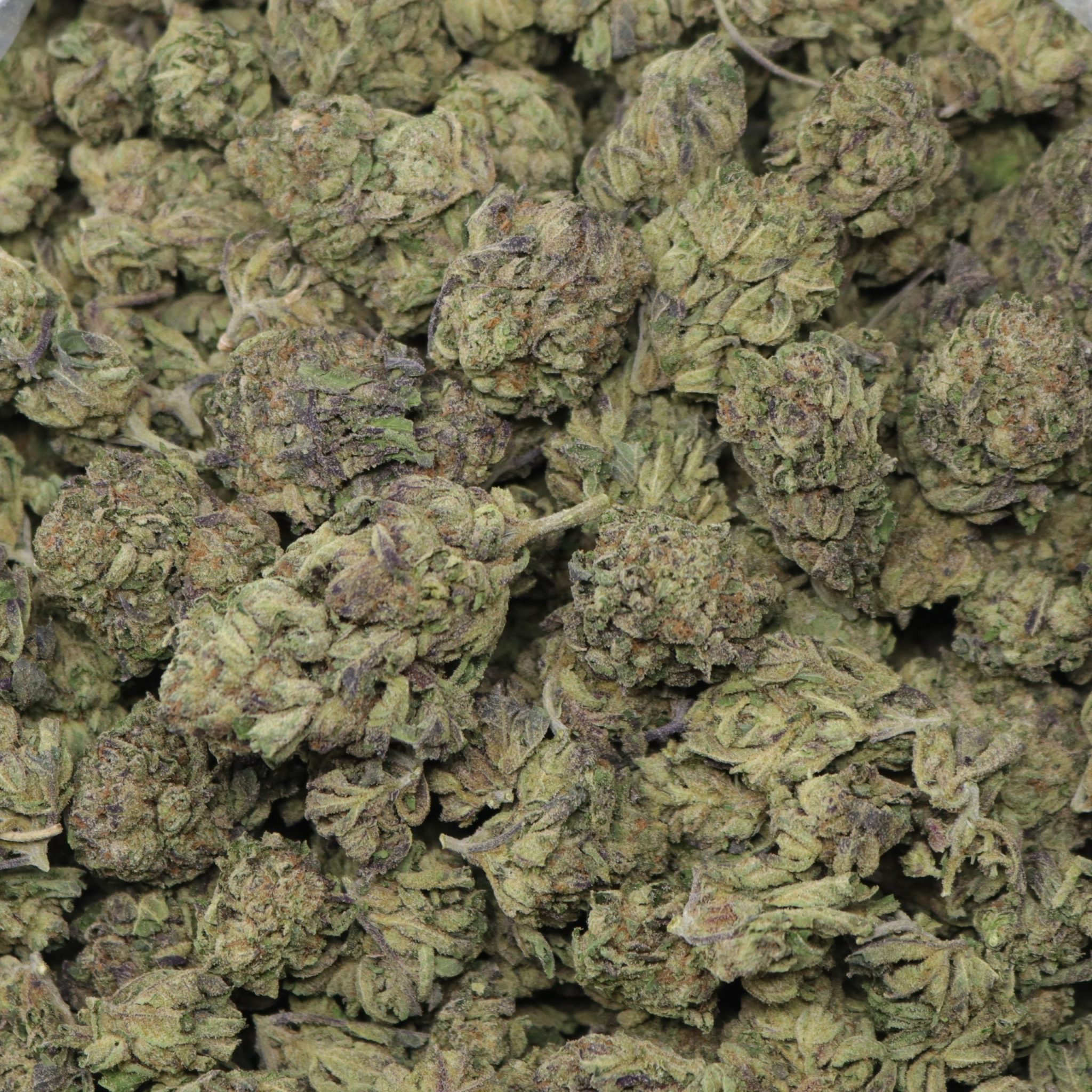 Indica - Cali Canna