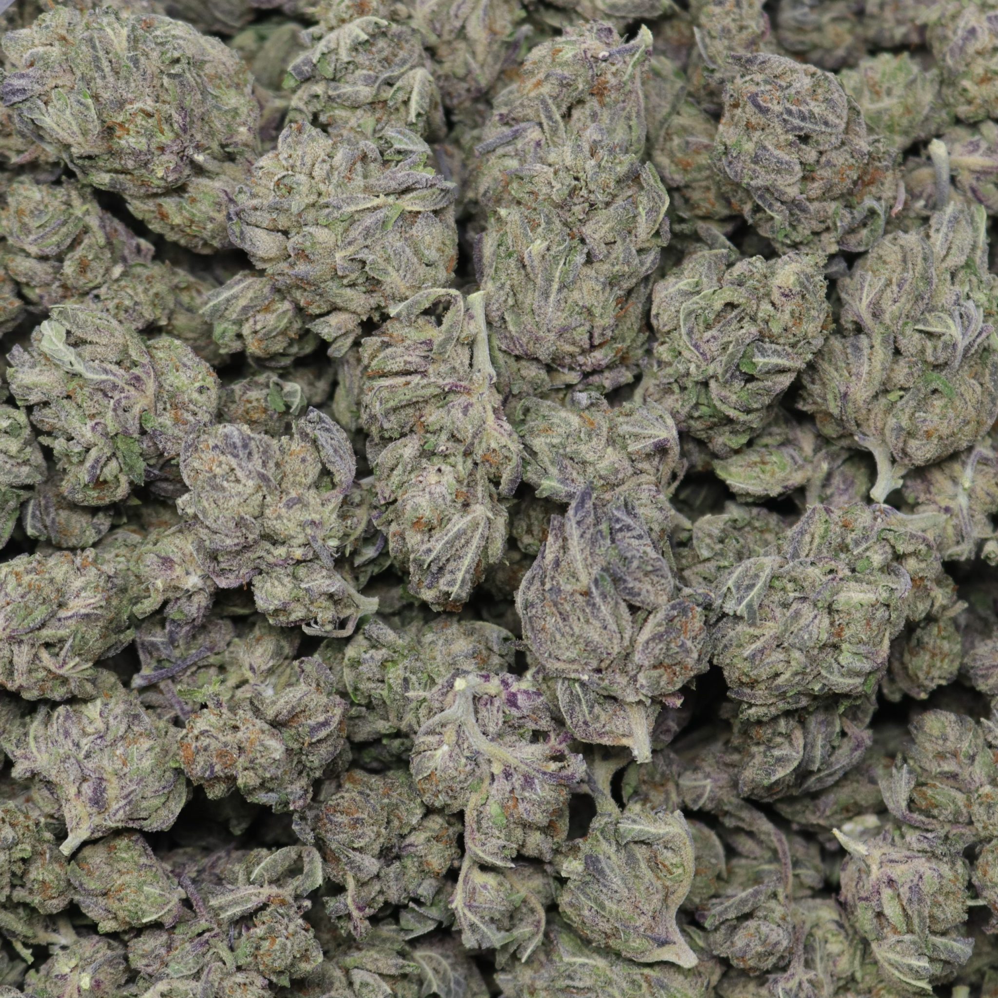 Oreo Smores - Cali Canna