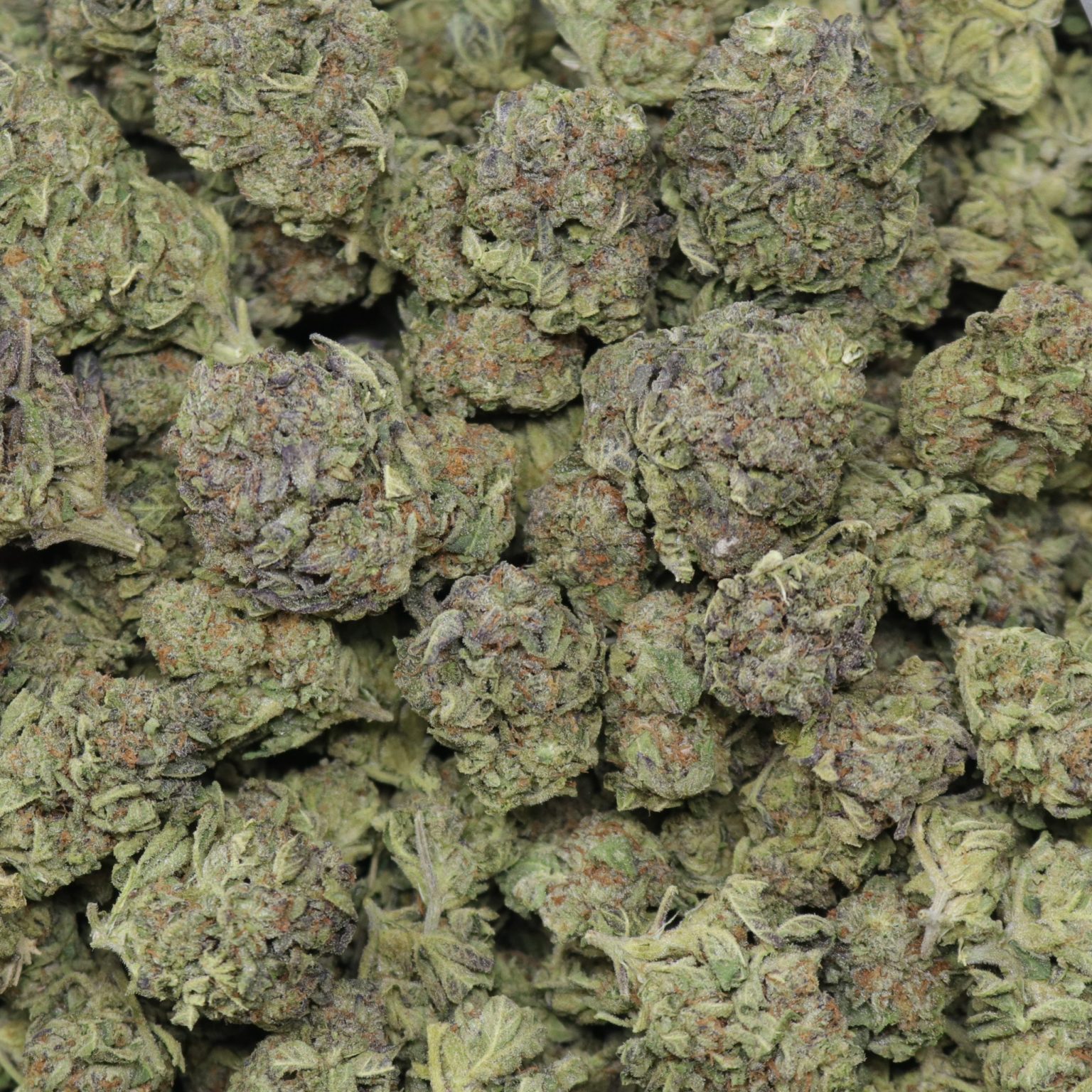 Purple Froyo Cake - Cali Canna