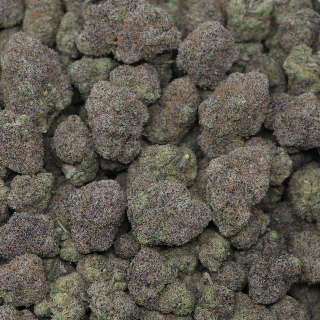 Purple Lemon Pop - Cali Canna