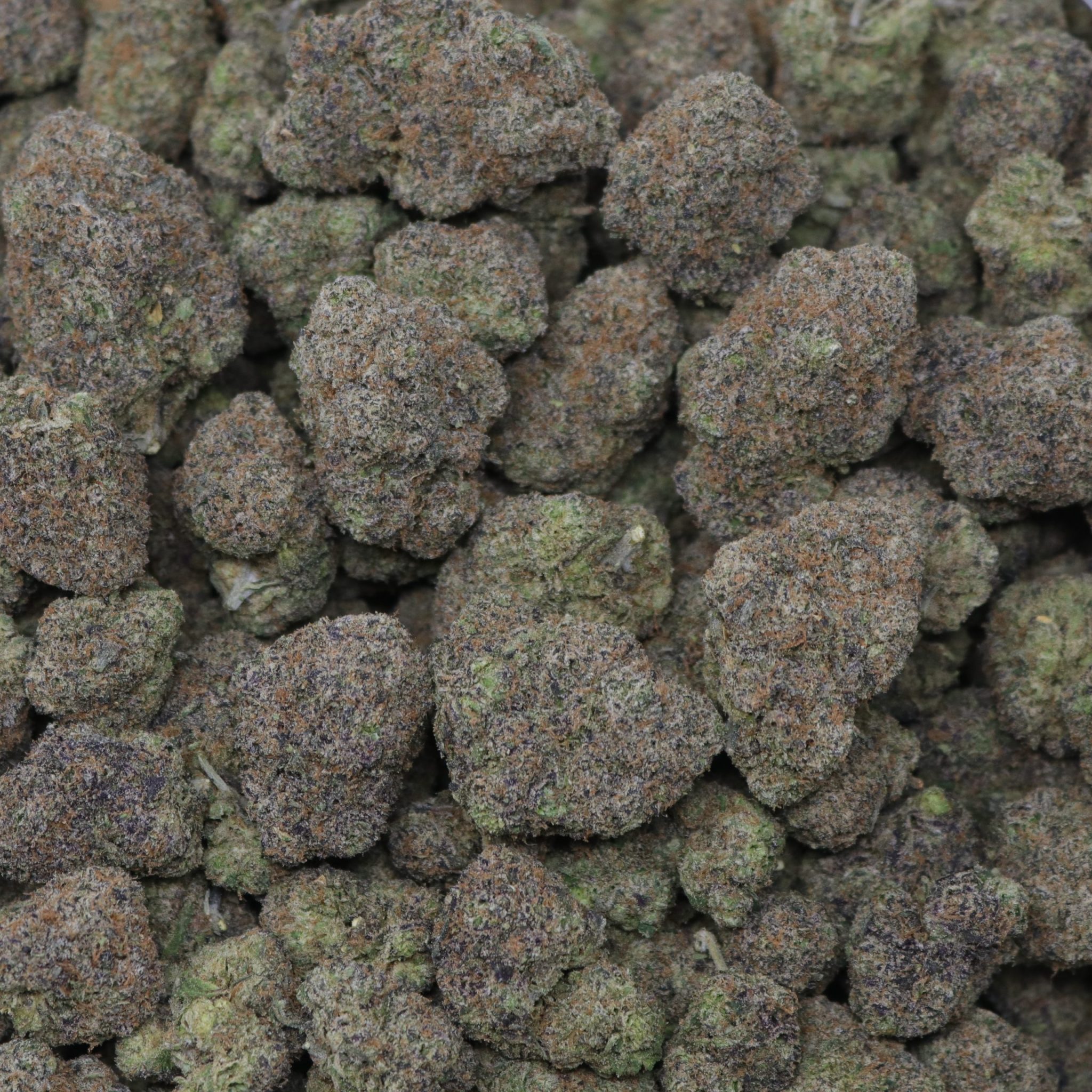 Purple Lemon Pop - Cali Canna