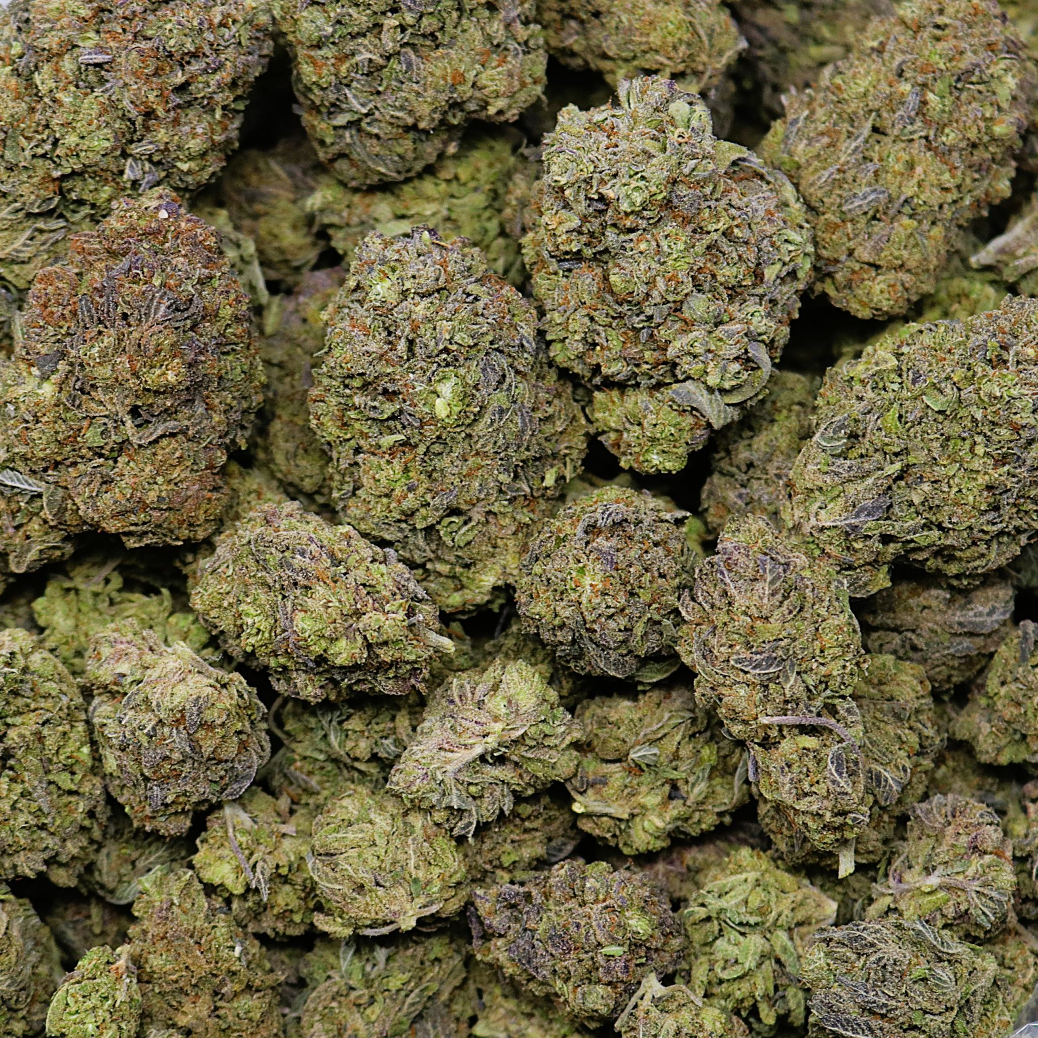 Black Slurpee - Cali Canna