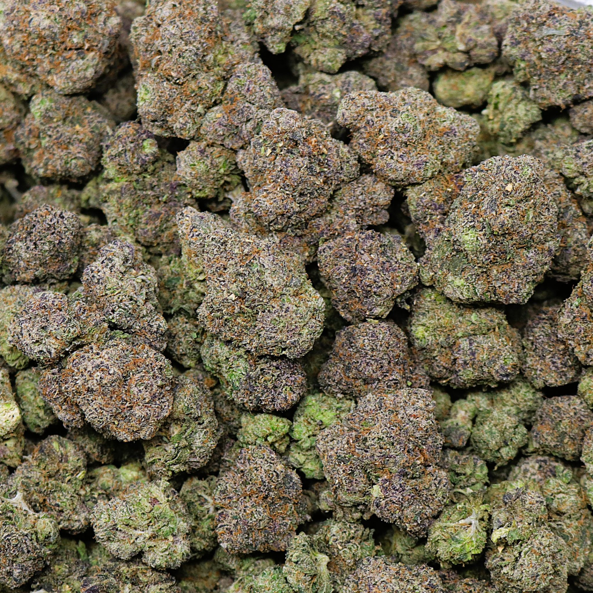 Indica - Cali Canna