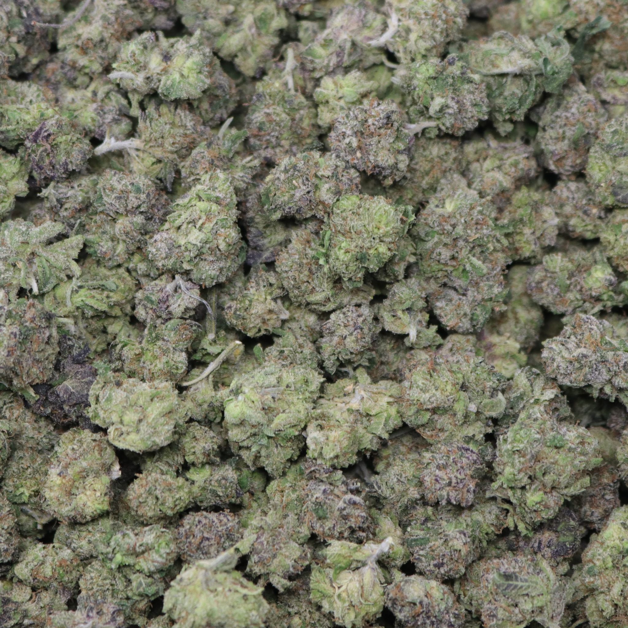 Gelato 47 | Cali Canna