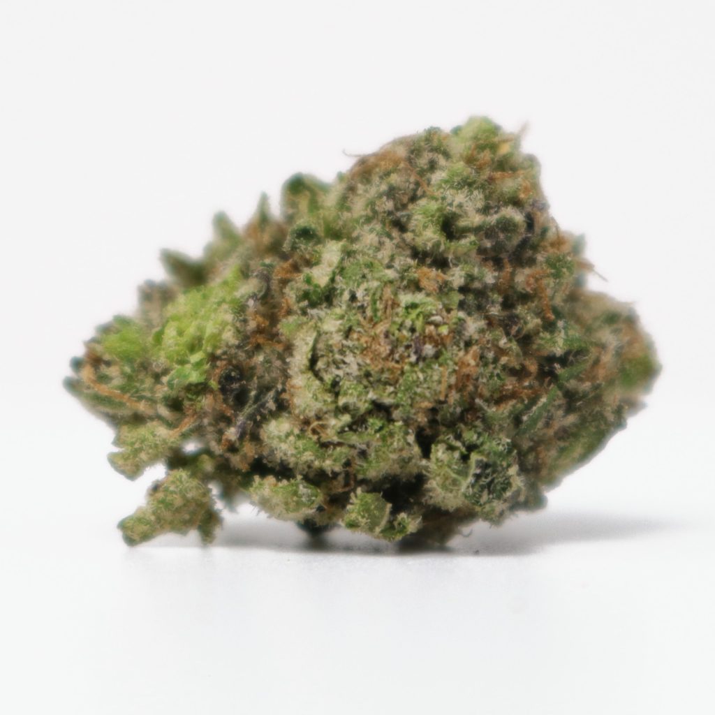 Gelato 47 | Cali Canna