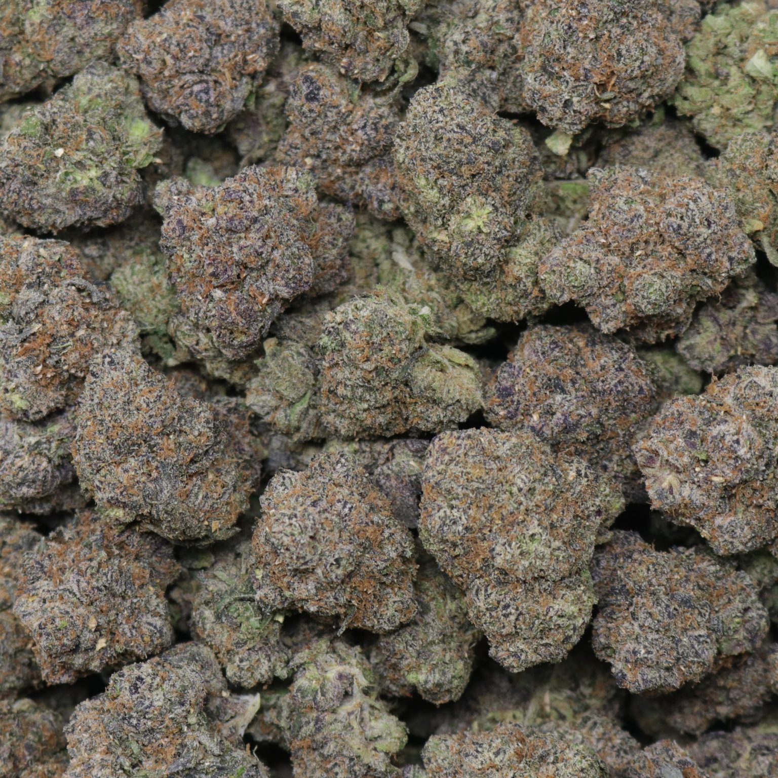 Pink Gasoline - Cali Canna