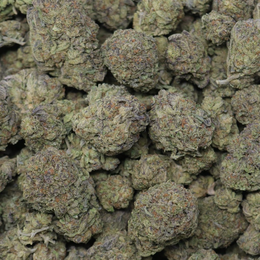 Russian Cream - Cali Canna