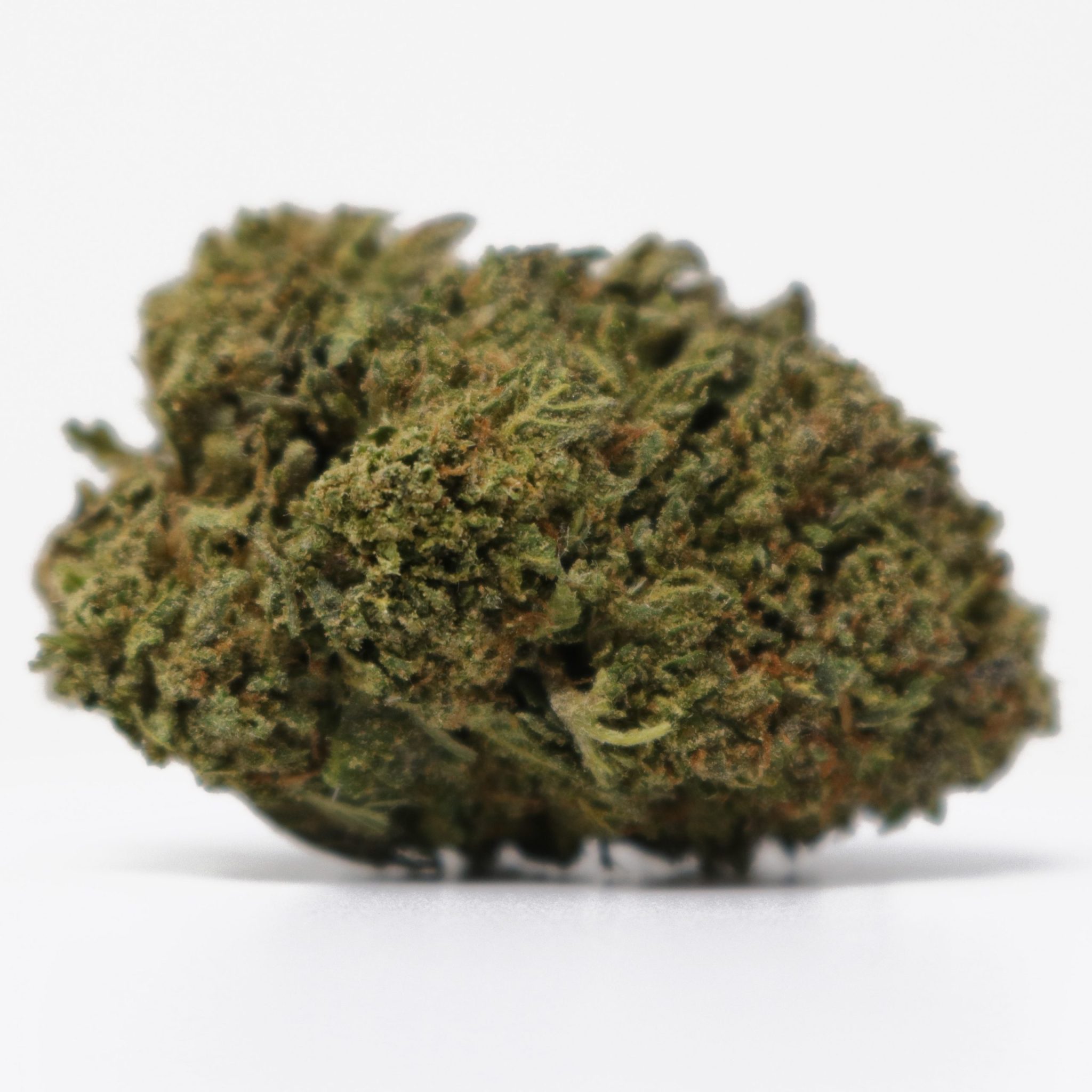 Muha Meds Disposable (2g) – Berry Gelato - Cali Canna