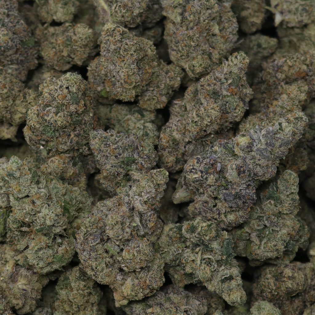 Flowers - Cali Canna