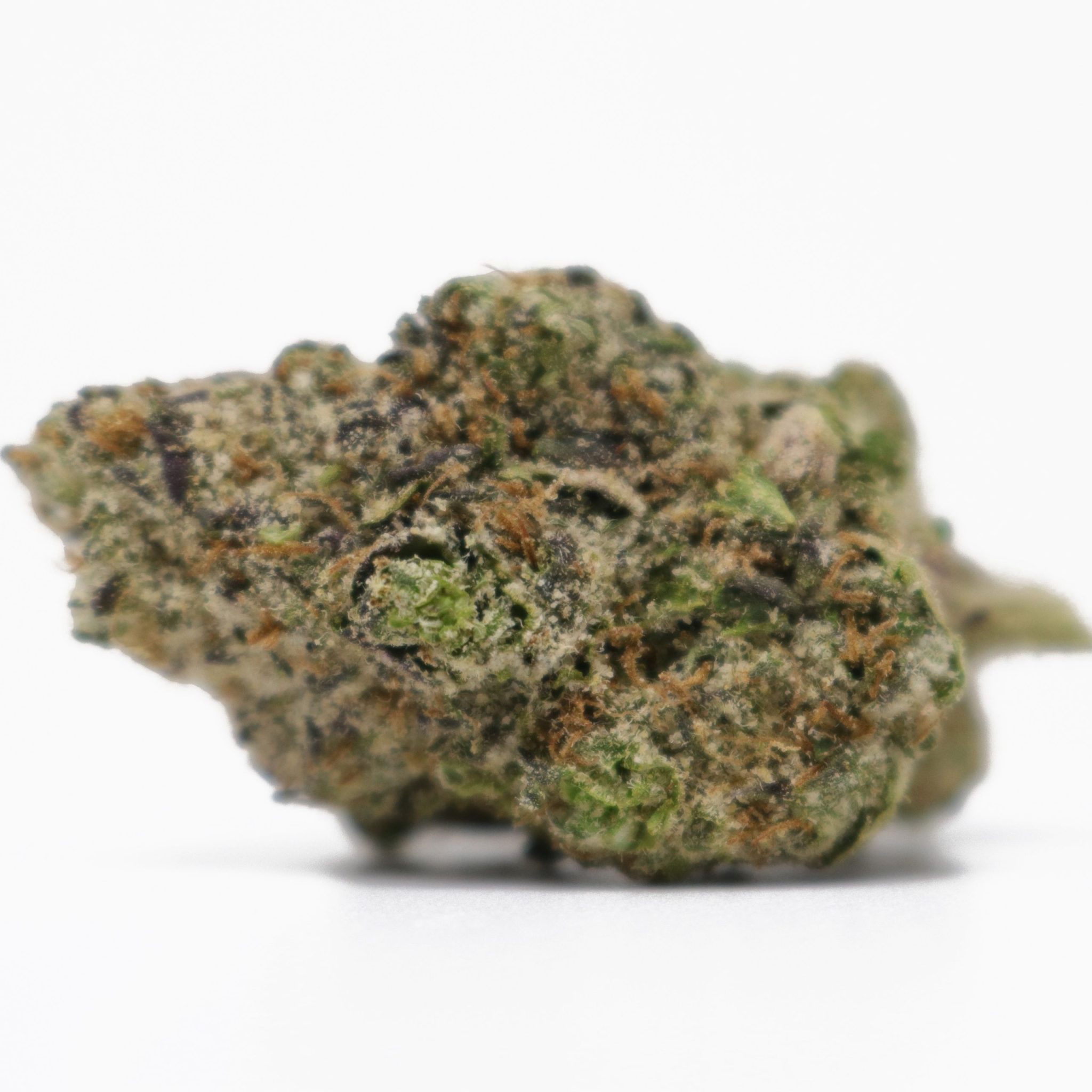 Galaxy Runtz - Cali Canna