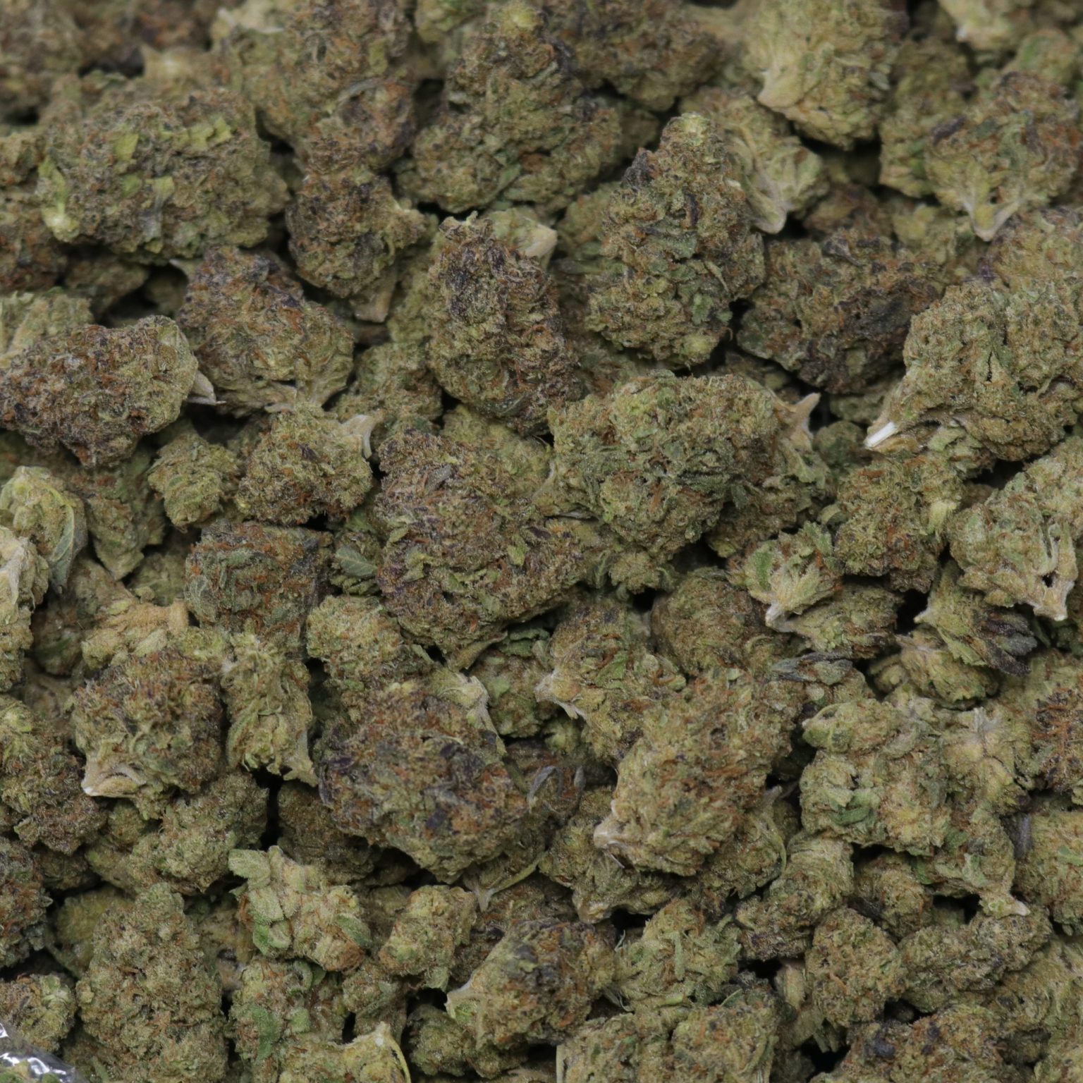 GovernMint Oasis - Cali Canna