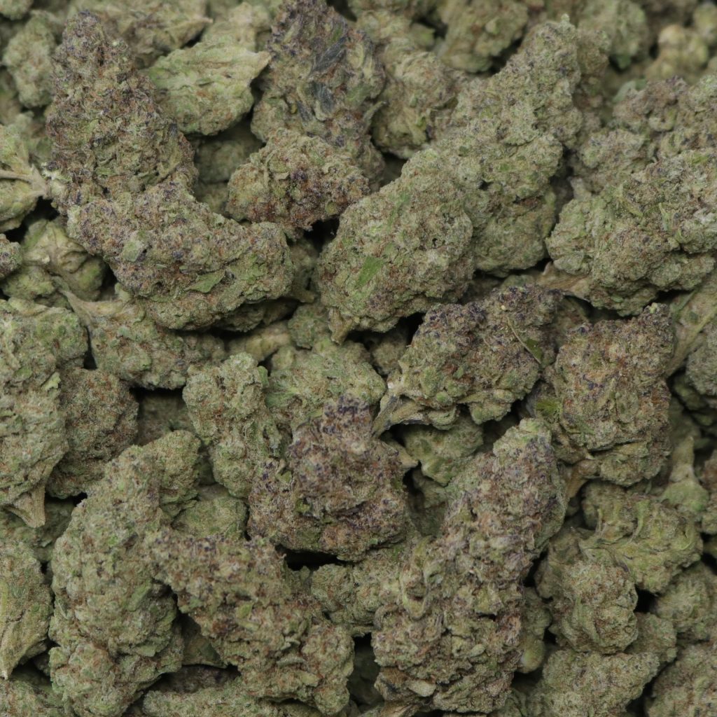Indica - Cali Canna