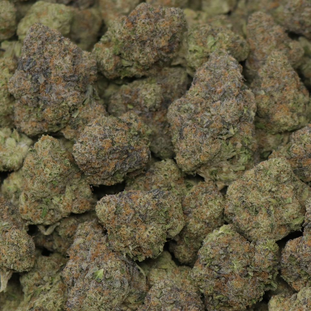 Gelato Cake - Cali Canna