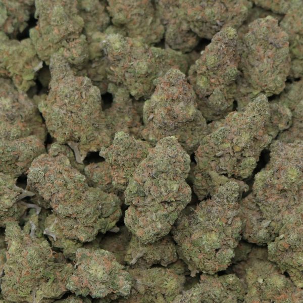 Blue Dream - Cali Canna