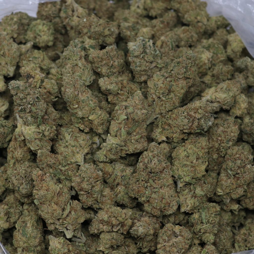 Obama Runtz - Cali Canna