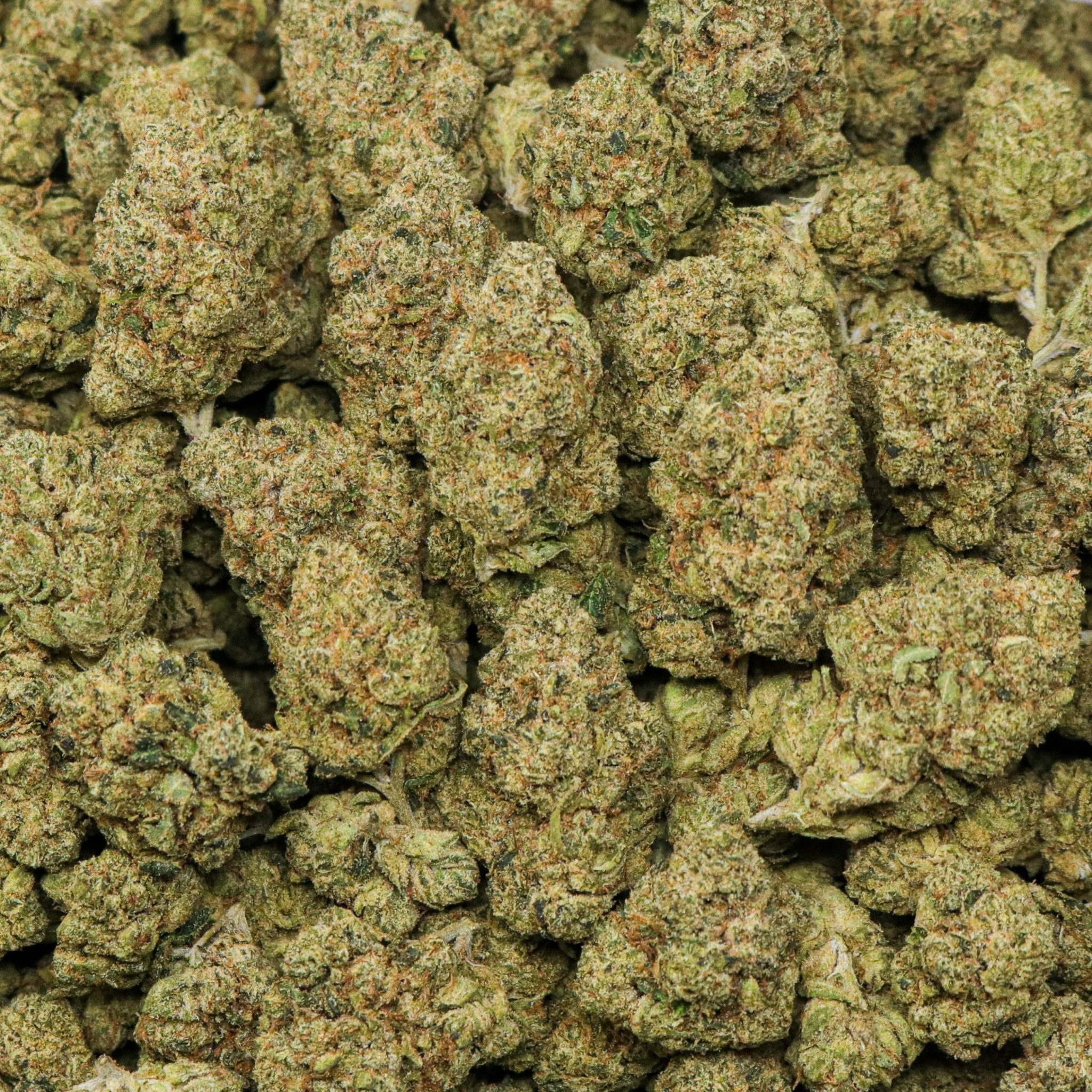 Paris OG - Cali Canna
