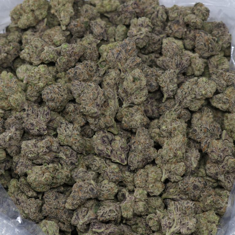 Purple Gusher - Cali Canna