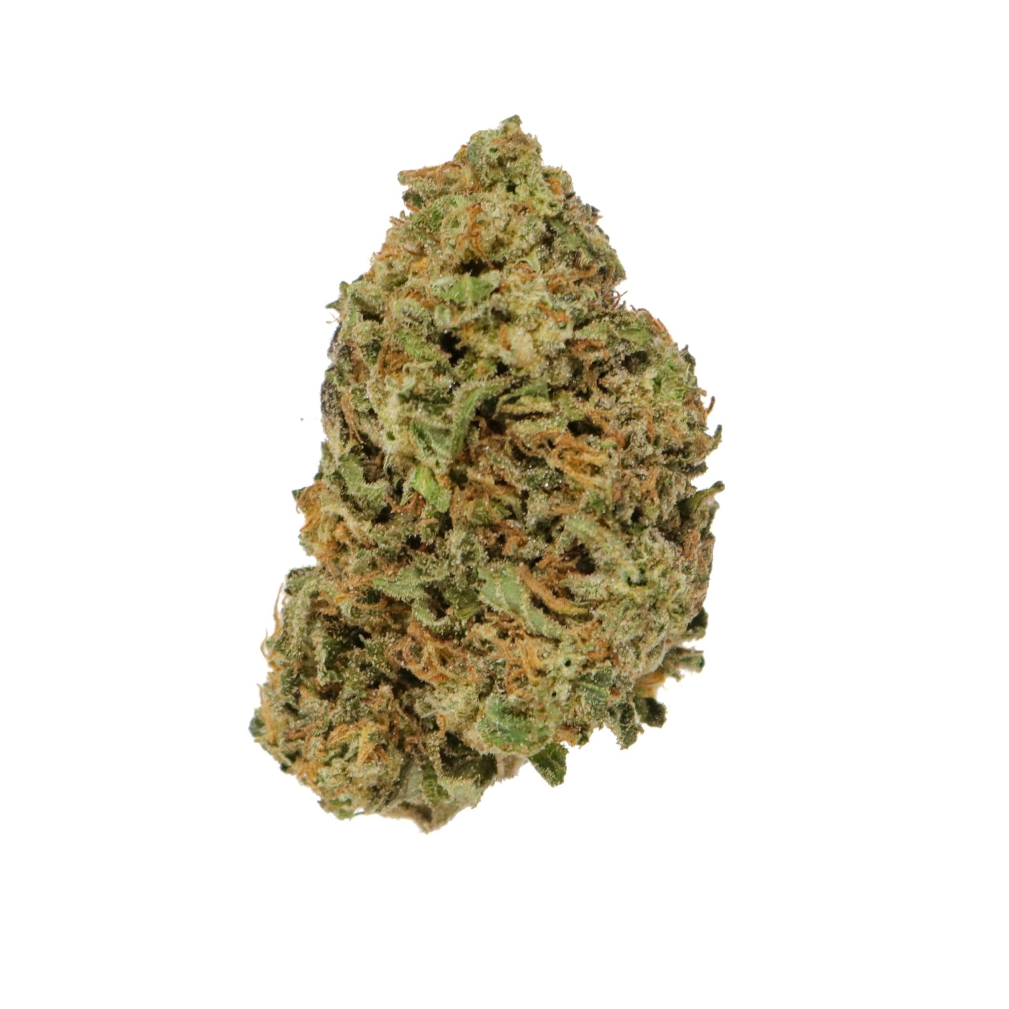 GovernMint Oasis - Cali Canna