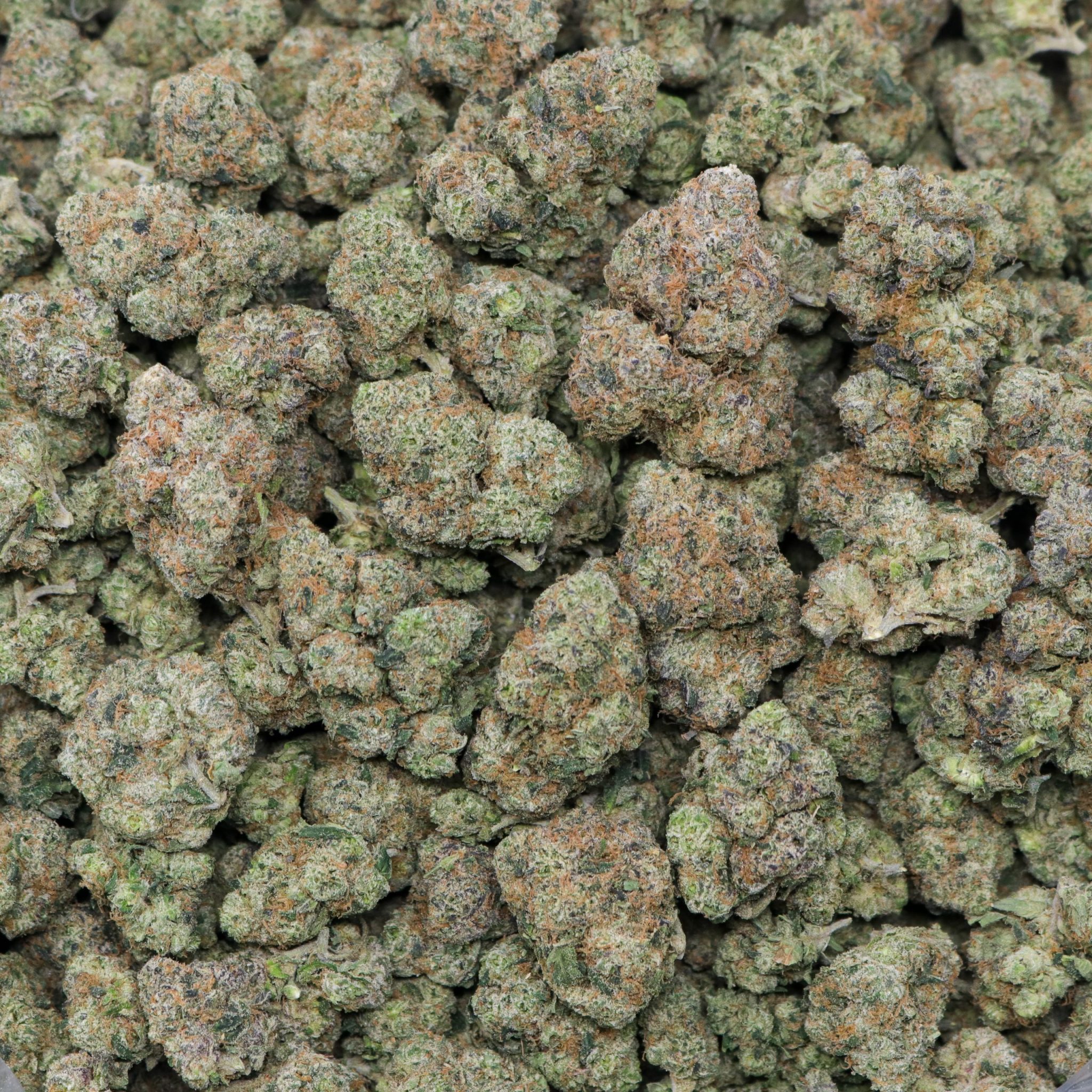 Buy Weed Online | Cali Canna Dispensary Ships to All States