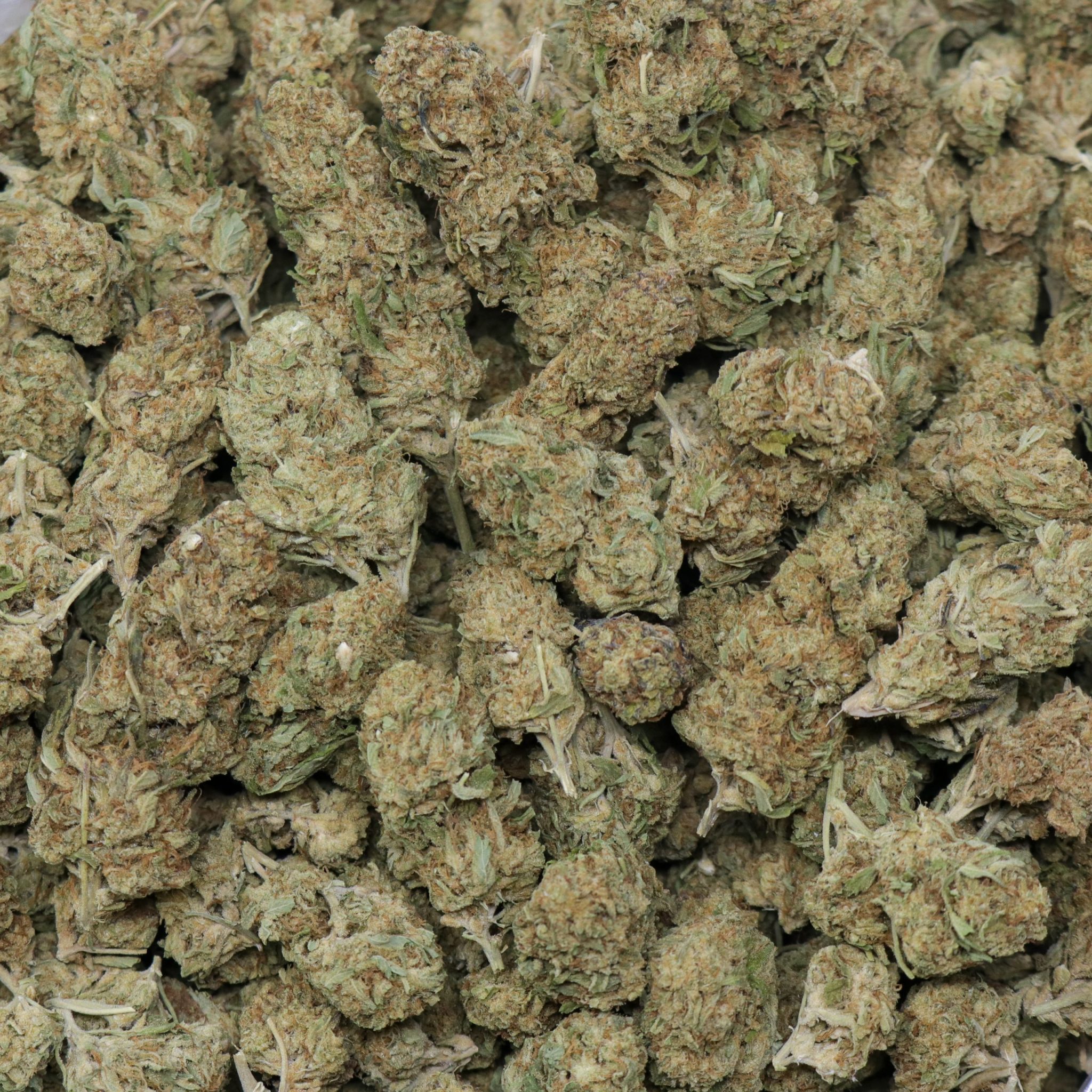 Kush Crasher - Cali Canna