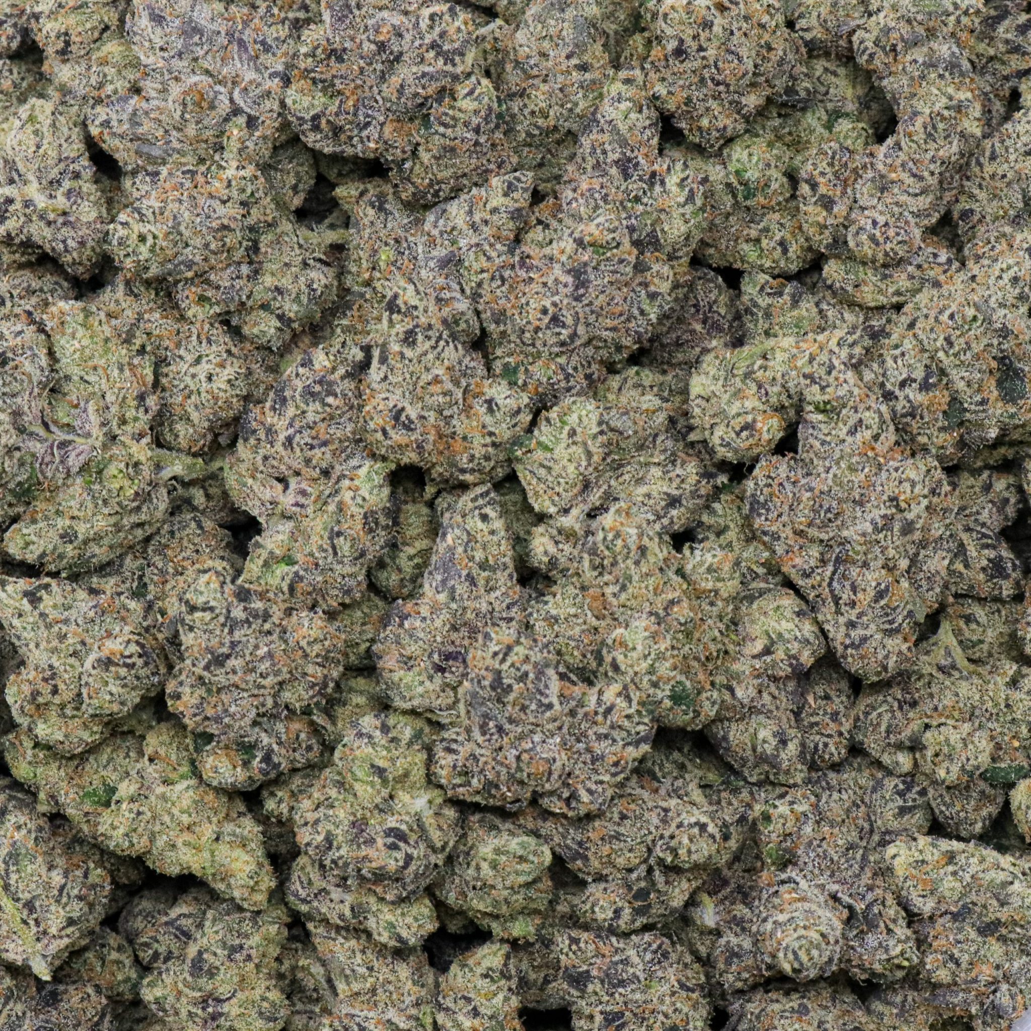 Galactic Runtz - Cali Canna