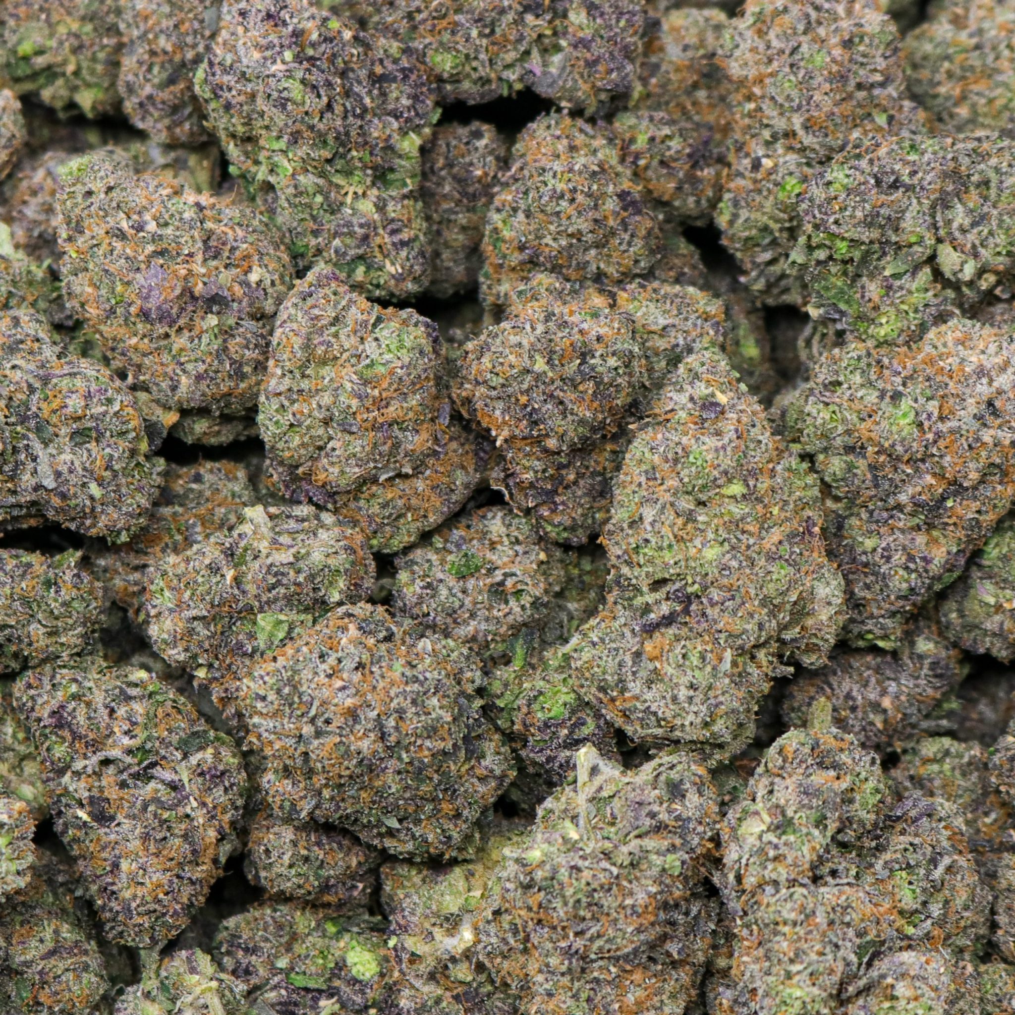 Gelatti - Cali Canna