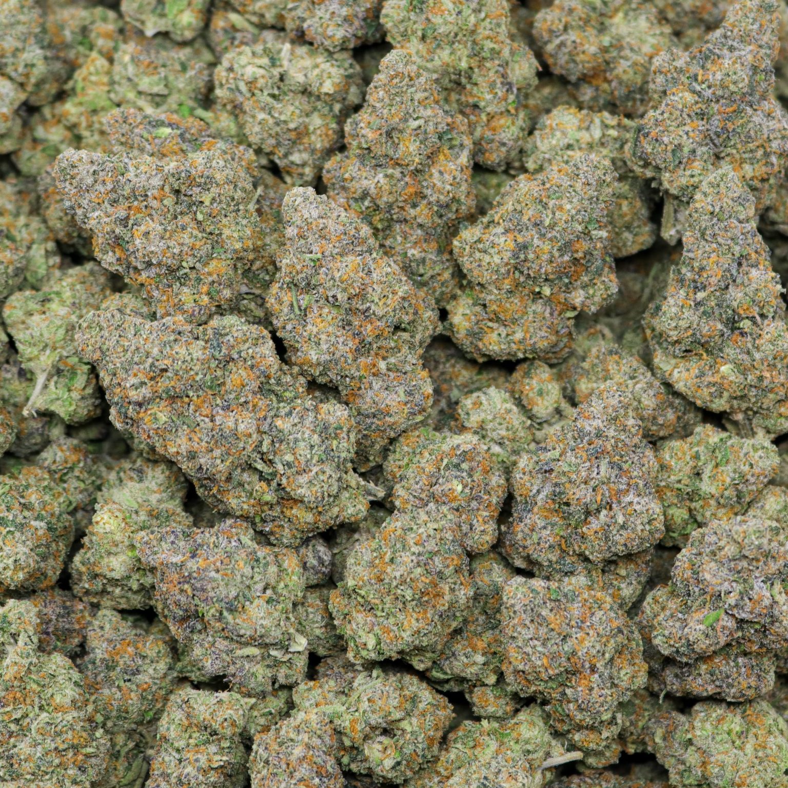Bacio Gelato | Cali Canna