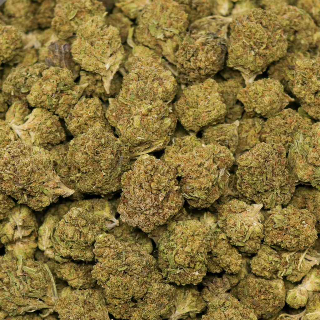 Pink Runtz | Cali Canna